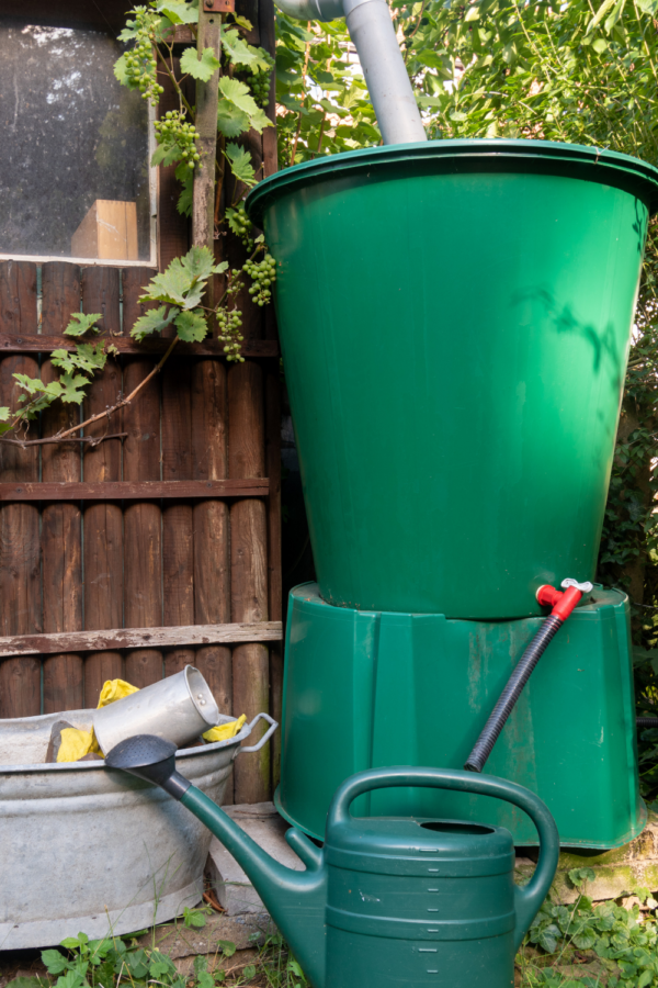 5 DIY Lawn & Garden for conserving water! | Nature Your Home